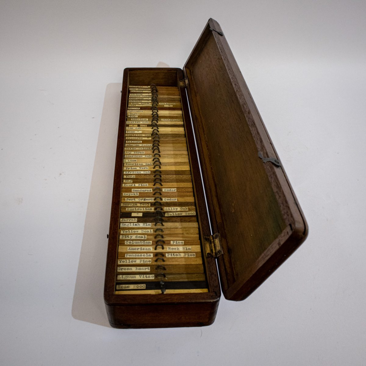 Rare 19th Century wood Specimen Box | Newark Antiques & Interiors